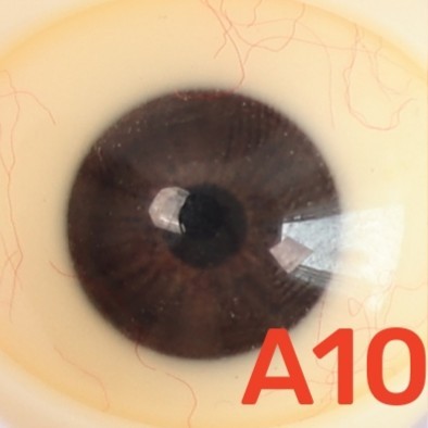 Jiusheng Doll 156cm Bカップ Cocoヘッド 熟女 セックスララブドール