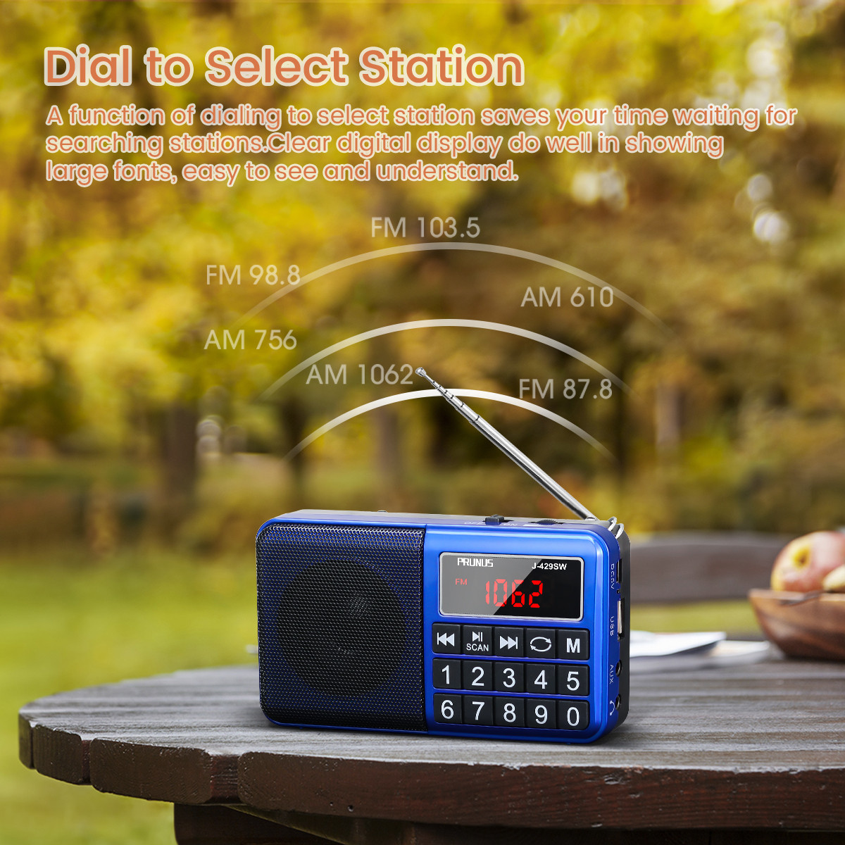 PRUNUS J-429SW Portable Radios Small AM/FM/SW, Rechargeable Radio with ...