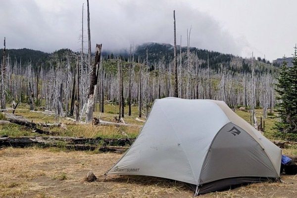 Are There Any Drawbacks to Consider? - www.pomoly.com