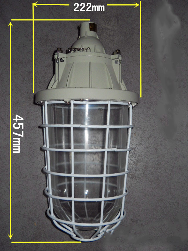 250W extension explosion-proof lamp waterproof dustproof lamp explosion ...