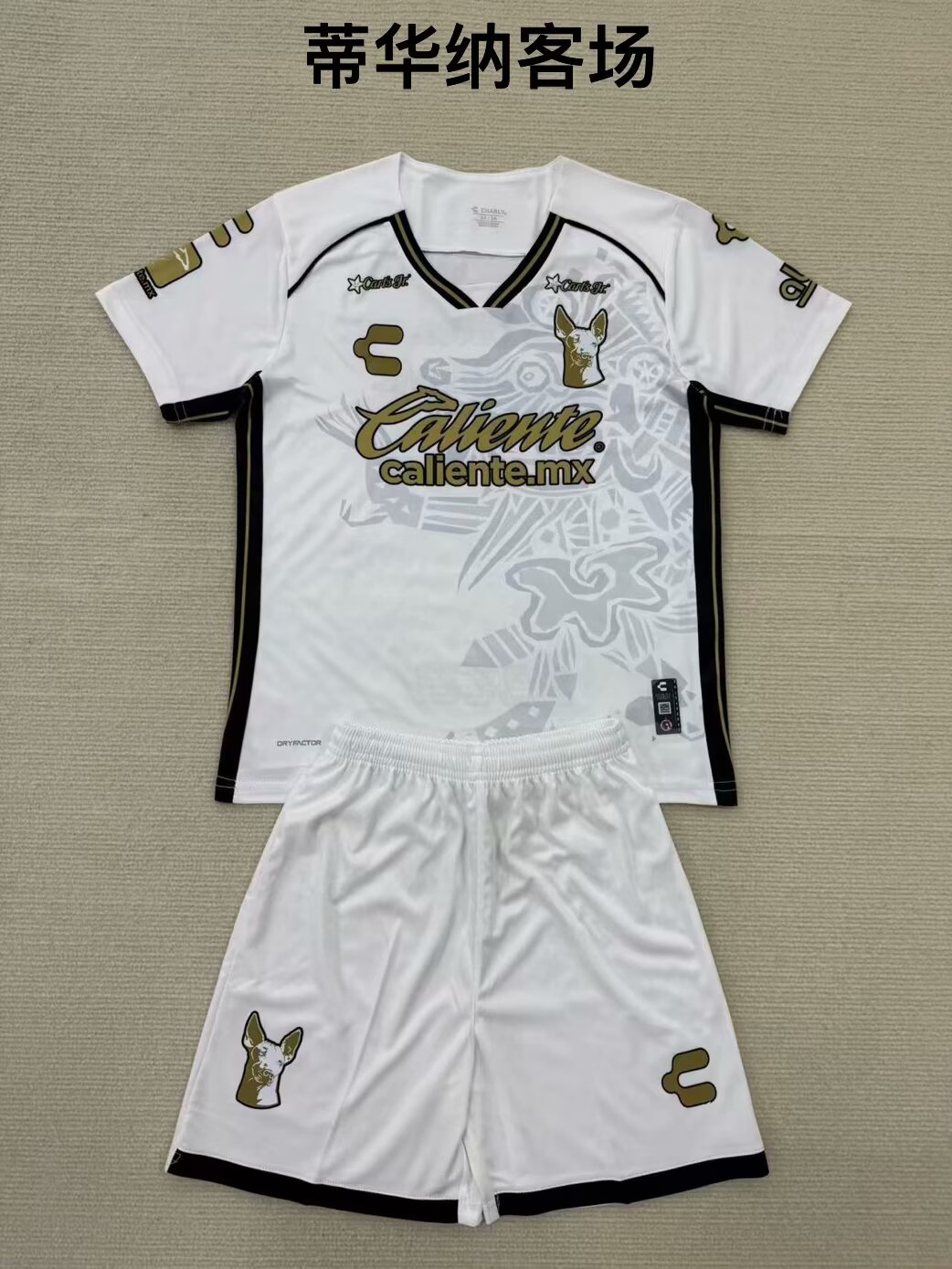 24/25 Tijuana Away Adult Uniform