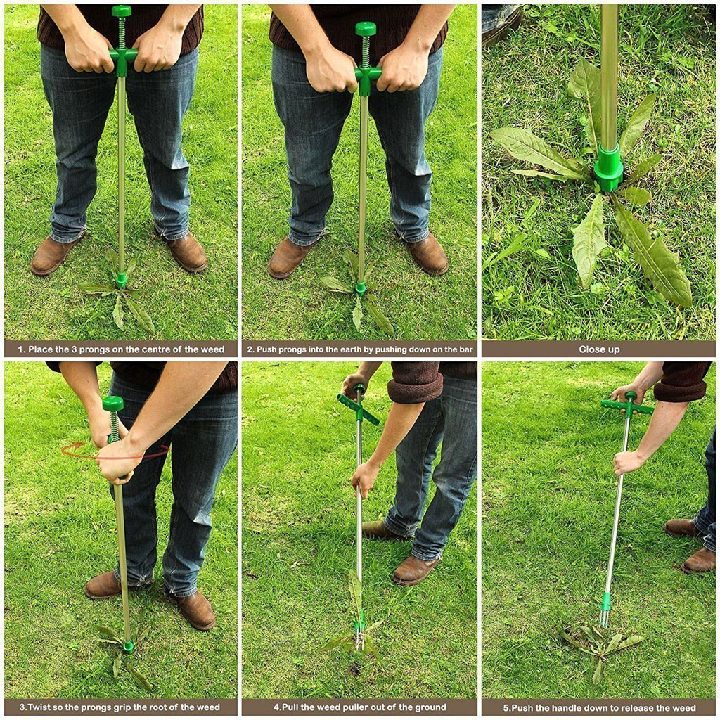US$ 56.66 - Stand Up Weed Puller - www.maicei.com