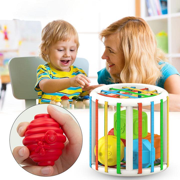 Shape Exploration Toys Set