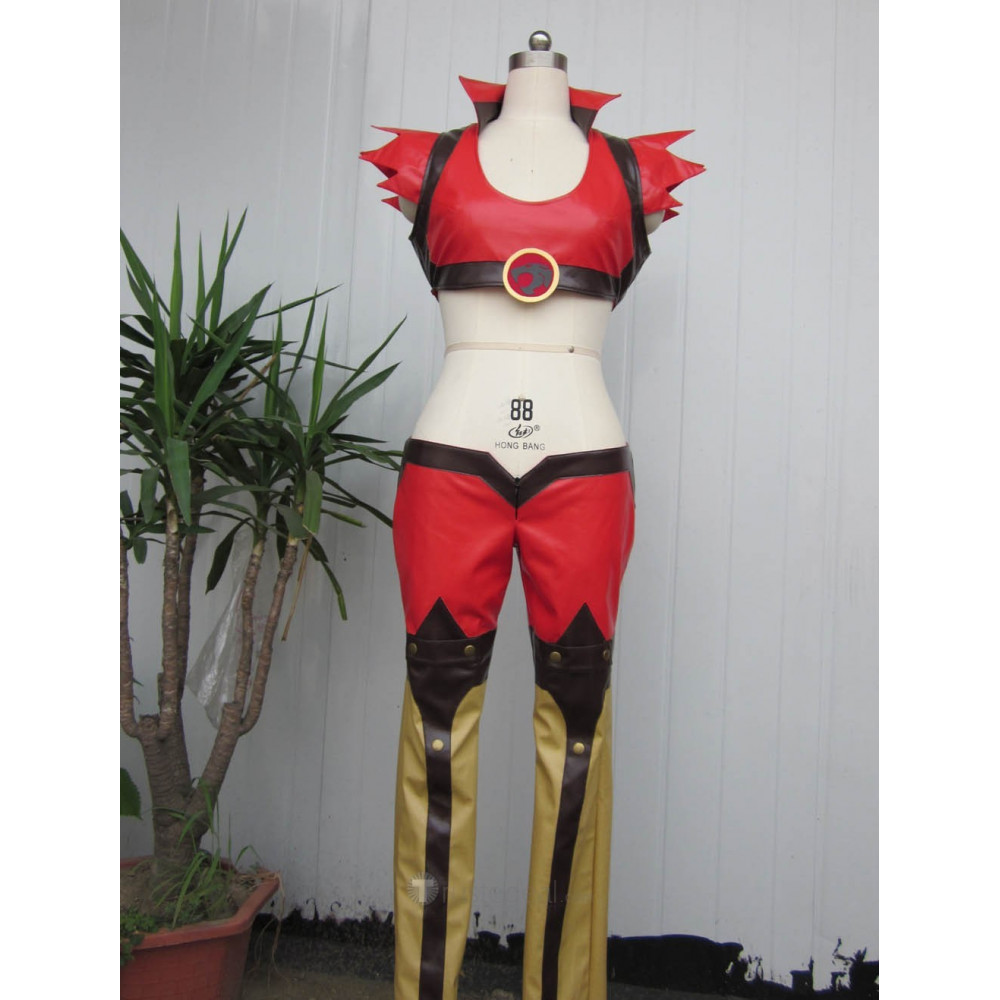 Thundercats 2011 Version Cheetara Cosplay Costume