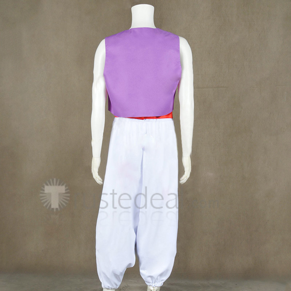 Disney Aladdin Cosplay Costume