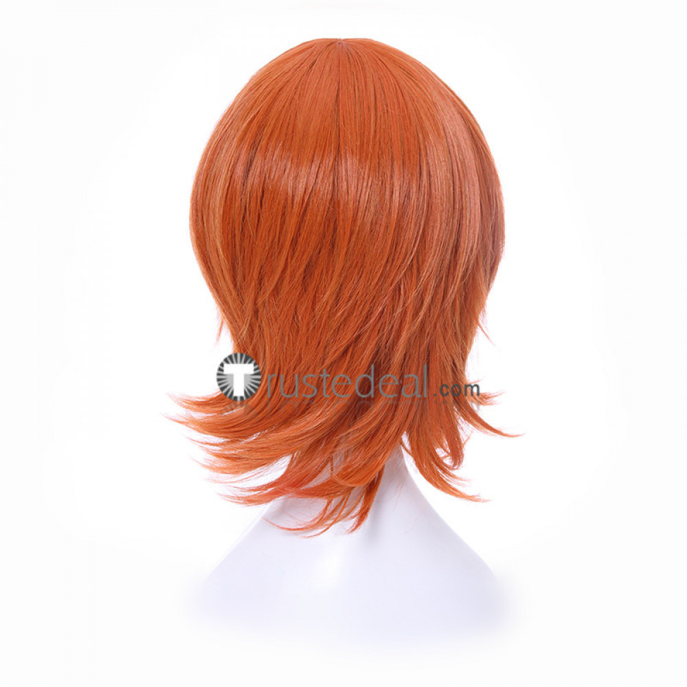 One Piece Nami Cosplay Wig