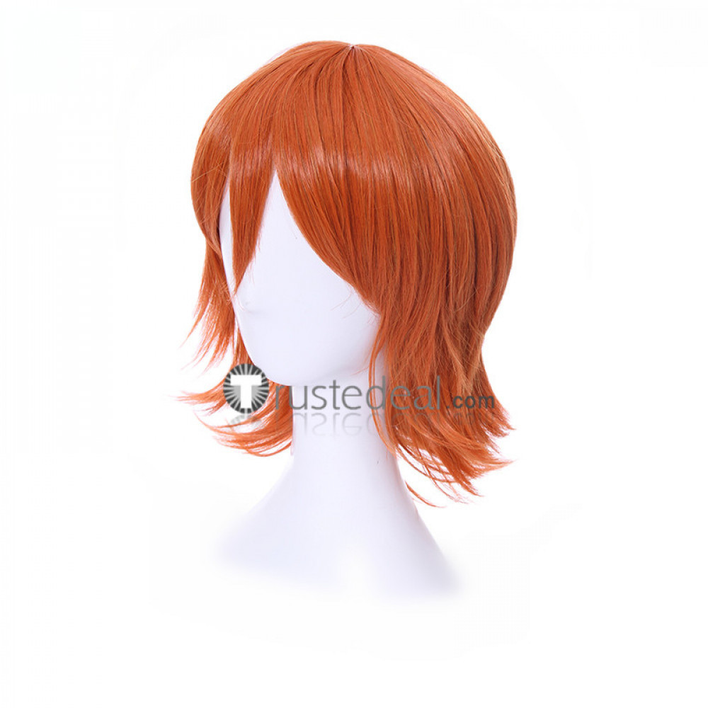 One Piece Nami Cosplay Wig