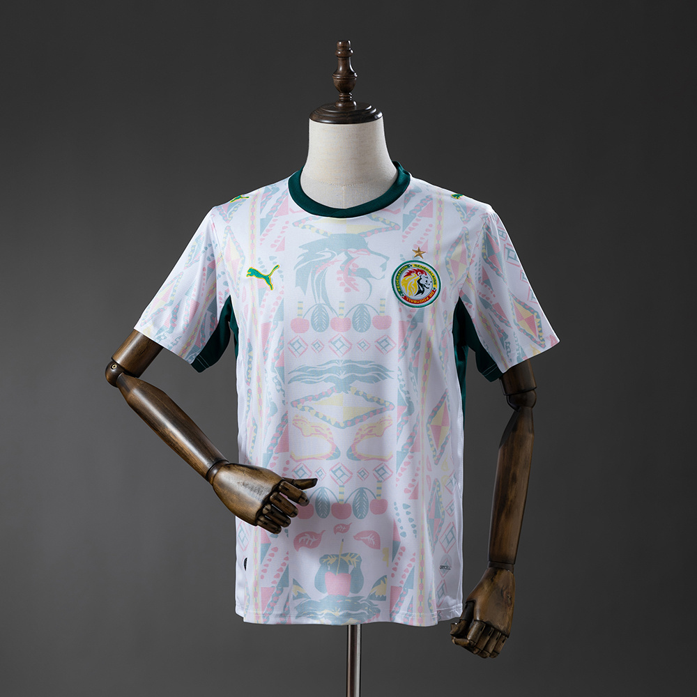 Senegal Jersey 2026 World Cup Home Football Kit - www.vicksports00.shop
