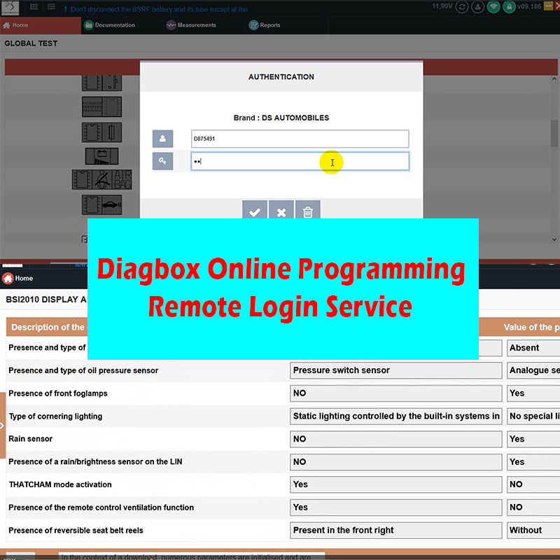 Diagbox Online Programming Account Remote Login Service for Peugeot ...
