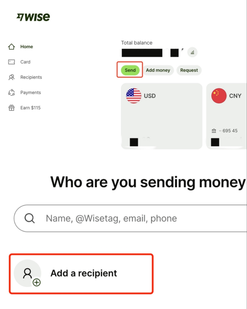 How to use Wise payment? - www.repdog.cn