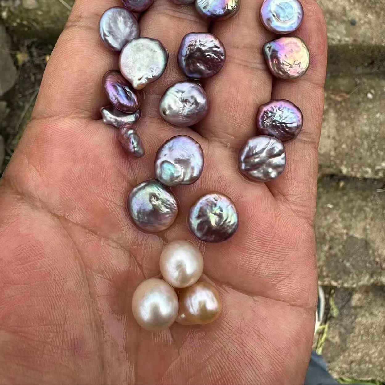 US$ 12.90 - Button ( 4-8 Button Shape Pearls + 1 Edison) - www.mr-skull.com