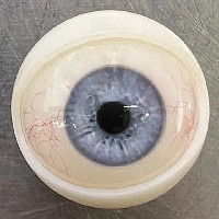 妙齢のアジア美人 美少女ラブドール Y237ヘッド 158cm Dカップ