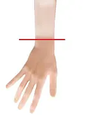 おしゃれ美人 Yao(瑶)ヘッド 159CM 巨乳人形 Gカップ セックスラブドール