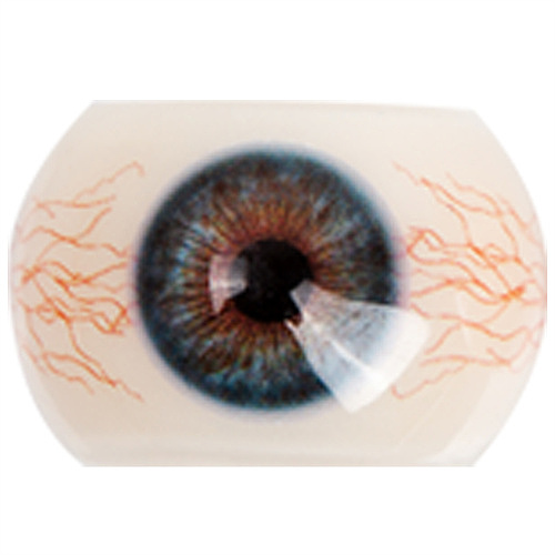 優雅な雰囲気を漂わせるドール 舞雪（wuxue）ヘッド 165cm人形 Cカップ